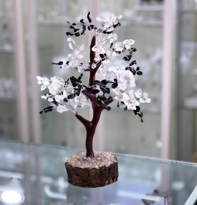 Quartz and Tourmaline Tree - בדרך הטבע