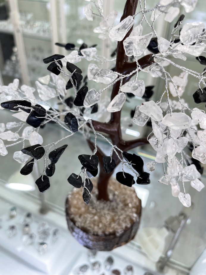 Quartz and Tourmaline Tree - בדרך הטבע