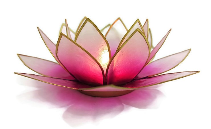 Pink Lotus Shell Candlestick - בדרך הטבע