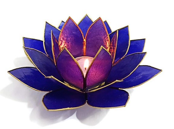 Blue Lotus Shell Candlestick - בדרך הטבע