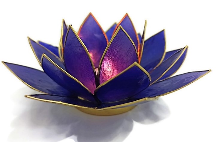 Blue Lotus Shell Candlestick - בדרך הטבע
