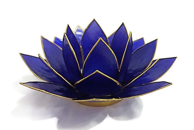Blue Lotus Shell Candlestick - בדרך הטבע