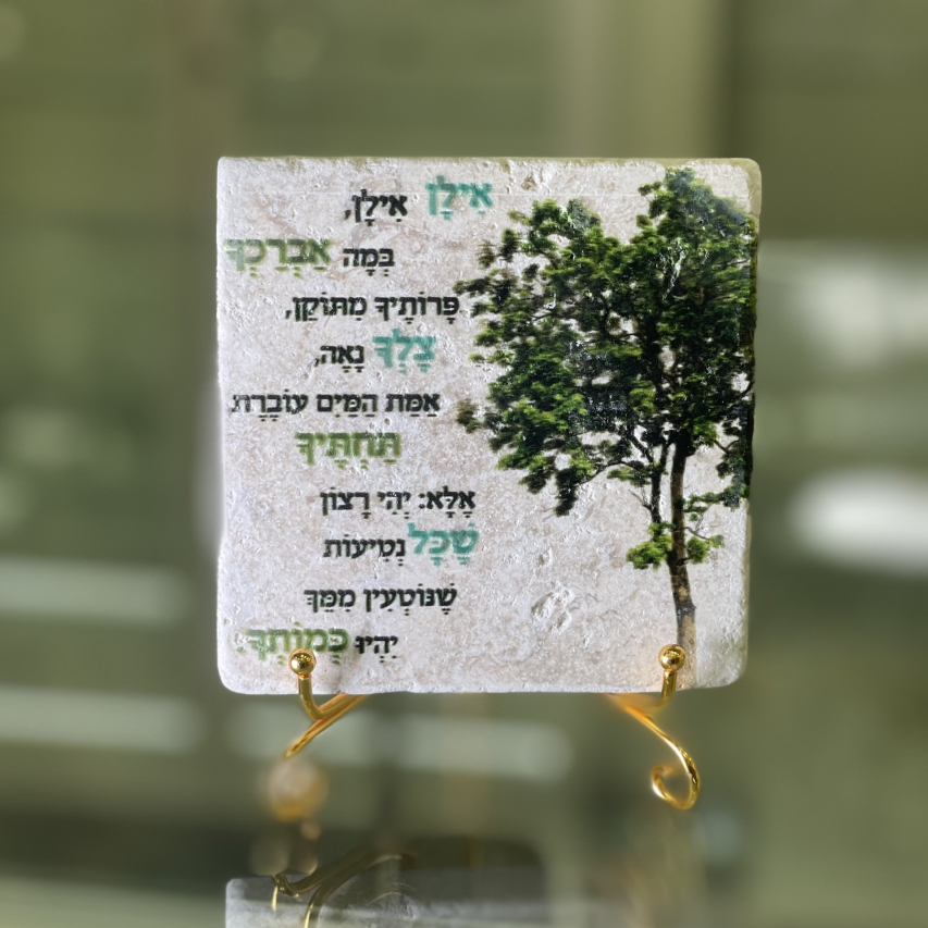 10/10 'Ilan Ilan' Tile - בדרך הטבע